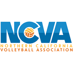 170+ NCSA Partners That Help Student-Athletes Succeed